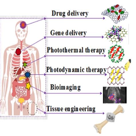 The Applications Of Bioactive Gqd Based Polymer Composites In Biomedicine Download Scientific
