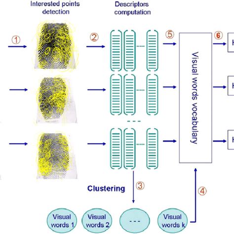 Bag Of Visual Words Model For Representing Images Download Scientific Diagram