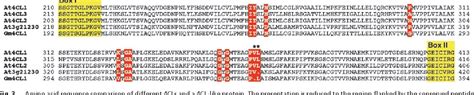 Figure 3 From The Substrate Specificity Determining Amino Acid Code Of