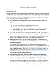 Full Spectrum Nursing Model With Blakedocx Full Spectrum Nursing