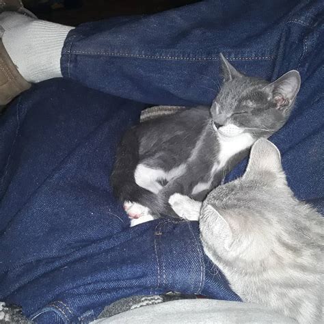 Alan Yeager Yeageralan • Instagram Photos And Videos