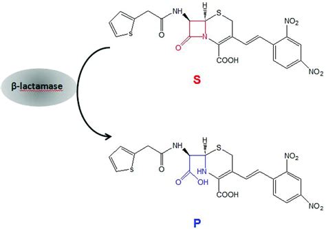 Nitrocefin Alchetron The Free Social Encyclopedia