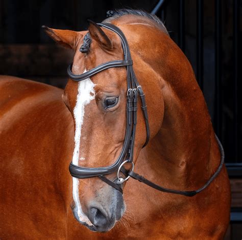 Bridles Our Team Has Tried And Tested For Fit Value And Performance