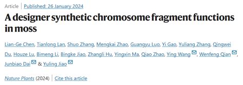 Nature Plants 焦雨铃课题组与合作者完成首个多细胞植物染色体的部分设计与合成 北京大学定量生物学中心