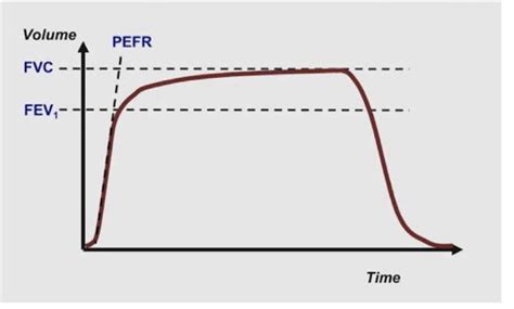 Spirometry And Obstructive Airway Disease Flashcards Quizlet