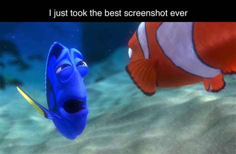 Crying Finding Nemo At Eva Harpur Blog