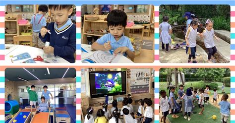 Sea Turtle Class