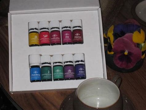 Danielle Mcelroy Tappen Bc