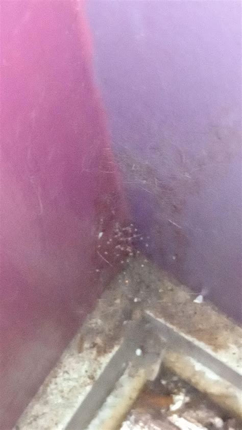 Scary Eggs Or Things In Web Rpestcontrol