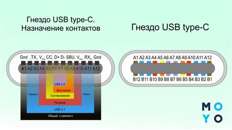 Типи USB роз'ємів - які бувають USB: інформація у 3 розділах
