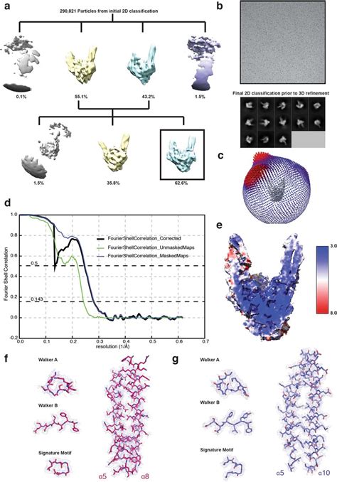 Cryo Em Data Processing And Validation A Following Initial 2d