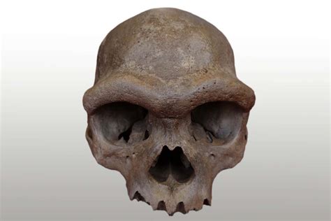 We Finally Know What The Face Of A Denisovan Looked Like New Scientist