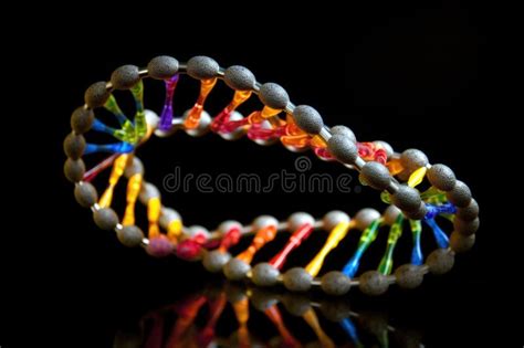 Complementary Bases Stock Illustrations 47 Complementary Bases Stock