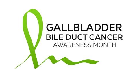 Premium Vector Vector Illustration On The Theme Of Gallbladder Bile