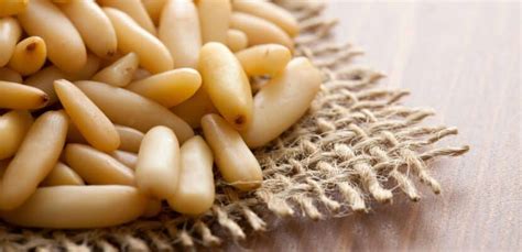 Pinoli Tutte Le Proprietà E Valori Nutrizionali Project Invictus