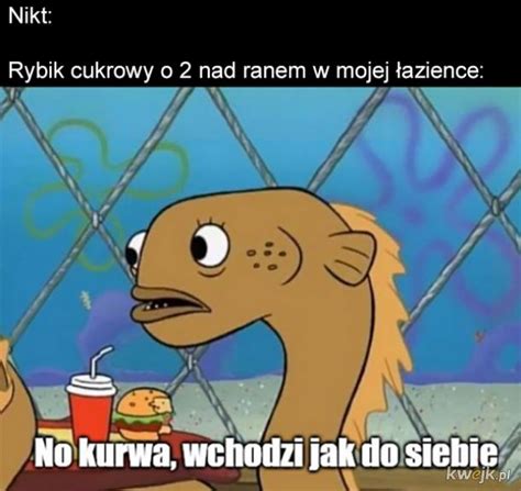 Rybik Najlepsze Memy Zdjęcia Y I Obrazki Kwejkpl