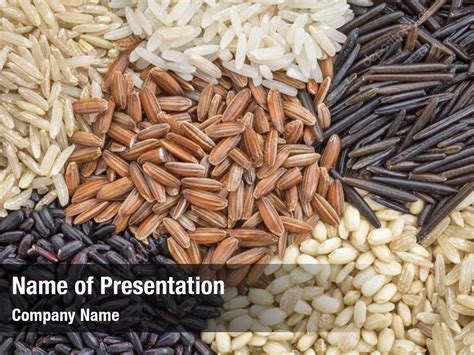 Grains Six Rice Including Different Powerpoint Template Grains Six