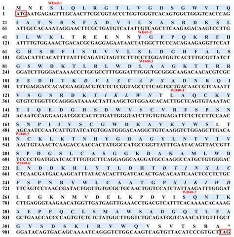 molecular cloning characterization and expression of a receptor for activated protein kinase