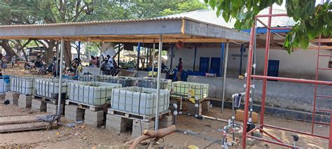 New Clam Depuration System By Wa Shellfish Hub To Improve Seafood Safety