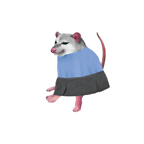 Reggie Rat Requested By Usmorstin Rdogelore