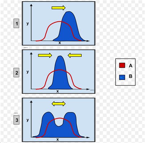 Biology Unit 7 Evolution Diagram Quizlet