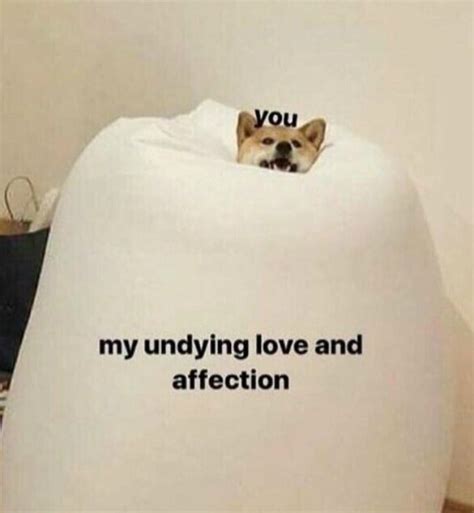 100 Best I Love You Memes That Are Cute Funny And Romantic Yourtango