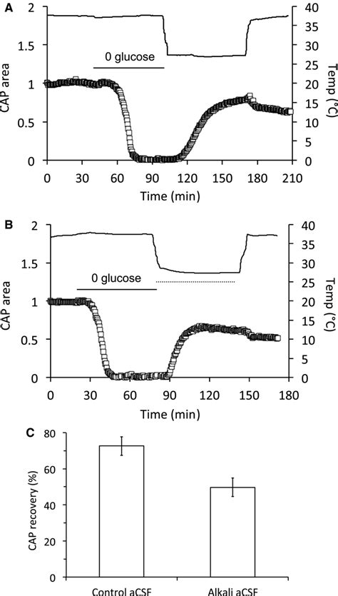 Alkalization Of Acsf Attenuated Hypothermia Induced Cap Recovery A