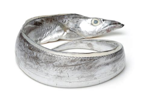 Peixe Congelado Com Fita De Marrocos Empresa De Importação Exportação