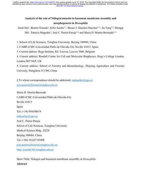 Analysis Of The Role Of Nidogenentactin In Basement Membrane Assembly