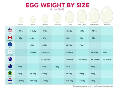 Typical Egg Dimensions At Christy Nathan Blog