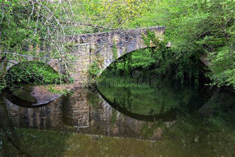 Old And Stone Bridge In Natural Environment Stock Image Image Of