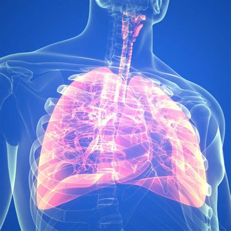 What Is A Lung Function Test Essential For Workplace Safety