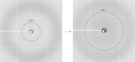 X Ray Crystallography Seeding Technique With Cytochrome P450 Reductase