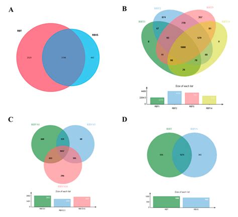 Proteomic Analysis Of Rbt And Rbvs Derived Exosomes A Venn Diagram