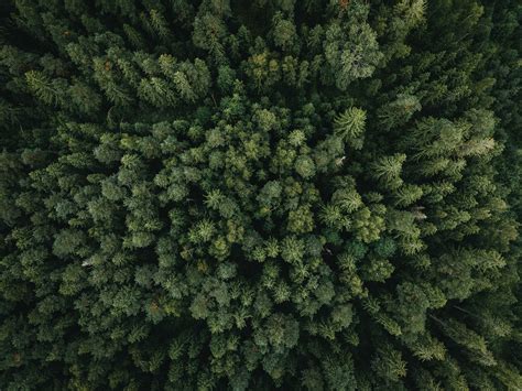 Renewable Methanol Hydrogen Fuel Cells Powercell Group