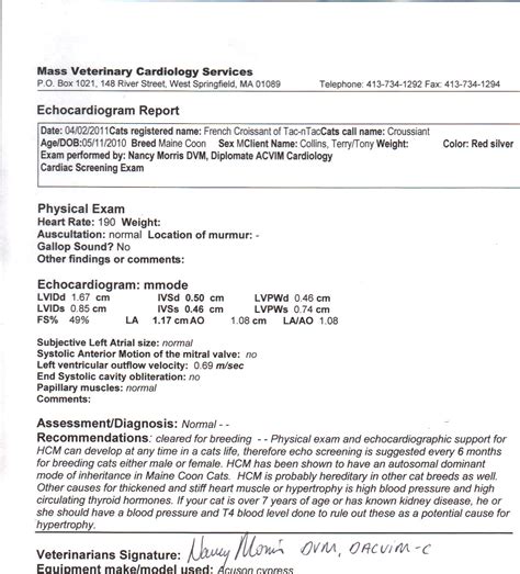 Echocardiogram Results