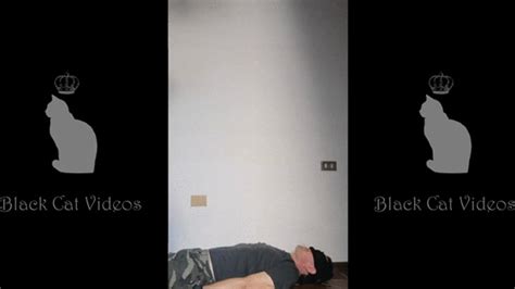 Simply Trample Fullbody View Black Cat Videos Clips4sale