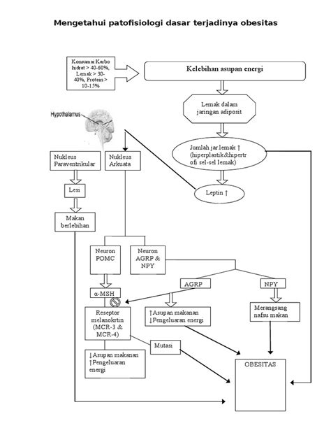 Patofisiologi Obesitas Pdf