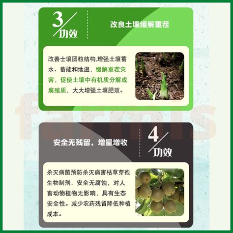 1000亿复合芽孢杆菌地衣芽孢杆菌bacillus Licheniformis枯草芽孢杆菌bacillus Subtilis哈茨木霉菌