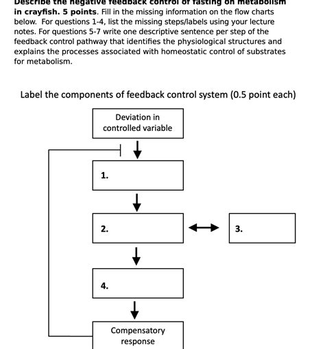Solved Write One Sentence About Each Step Of The Feedback