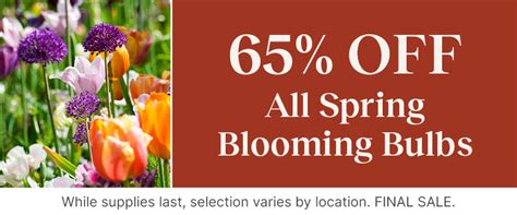 Current Specials Gardenworks
