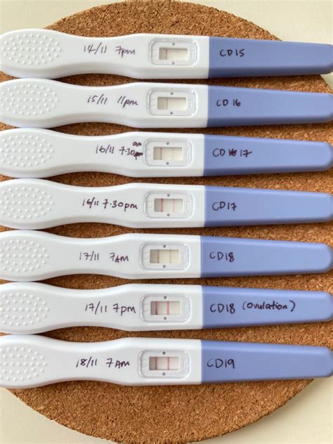 Ovulation Tracking November 2020 Ttc