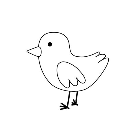 새 새끼 색칠 페이지 흑백 작은 새 벡터 프리미엄 벡터
