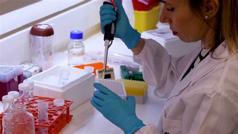 Video Flow Cytometry Analysis Of Murine Bone Marrow Hematopoietic Stem And Progenitor Cells And