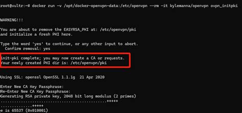 如何在docker环境下安装openvpn，快速搭建安全的vpn服务【2025年最新】 泰科之家
