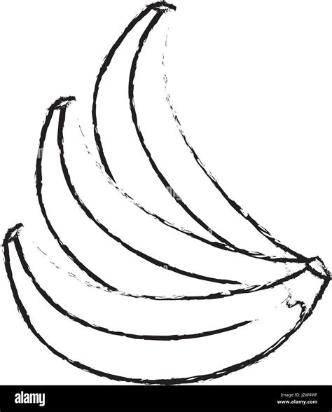 Figure Delicious Babanas Tropic Fruits Stock Vector Image And Art Alamy