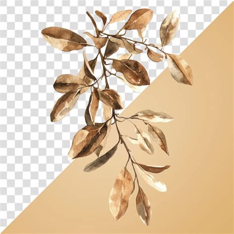 Png Mistletoe Leaves Leaf Art Illustration Premium Psd