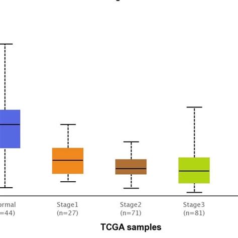 Expression Of Cpeb3 In Different Stages Of Hnscc And Healthy Samples