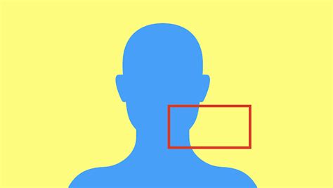 【python】opencvで動画に図形を描画する