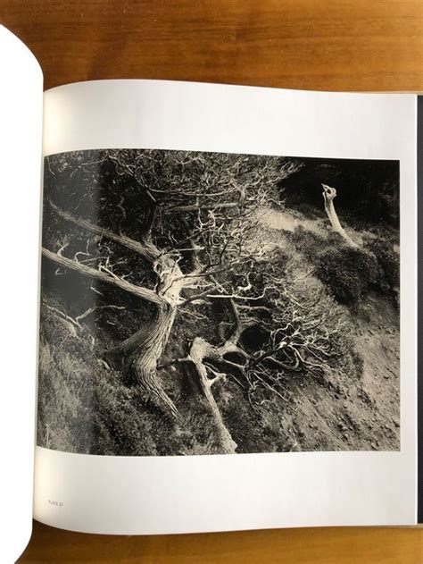 Edward Weston Book Of Nudes J Paul Getty Museum Gebraucht In
